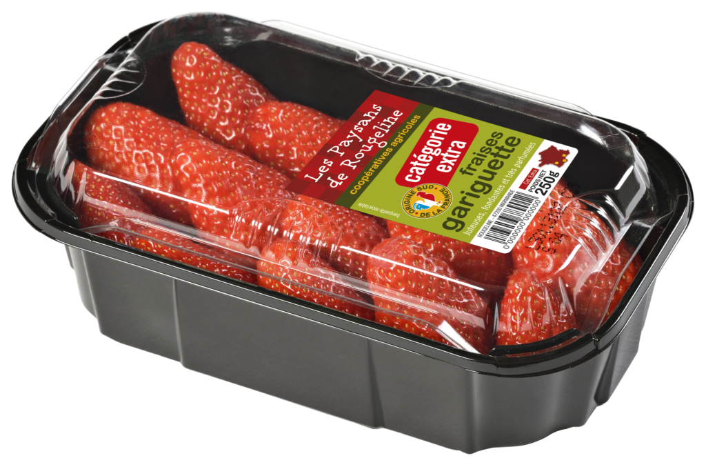 Gariguette - Les Paysans de Rougeline