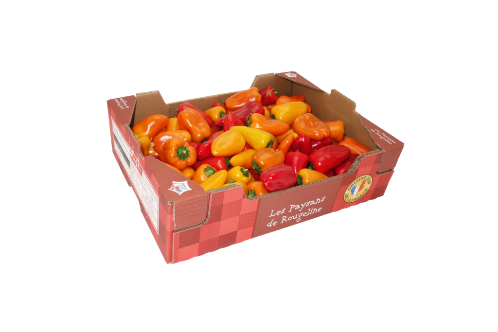 Poivrons et Piments - Les Paysans de Rougeline