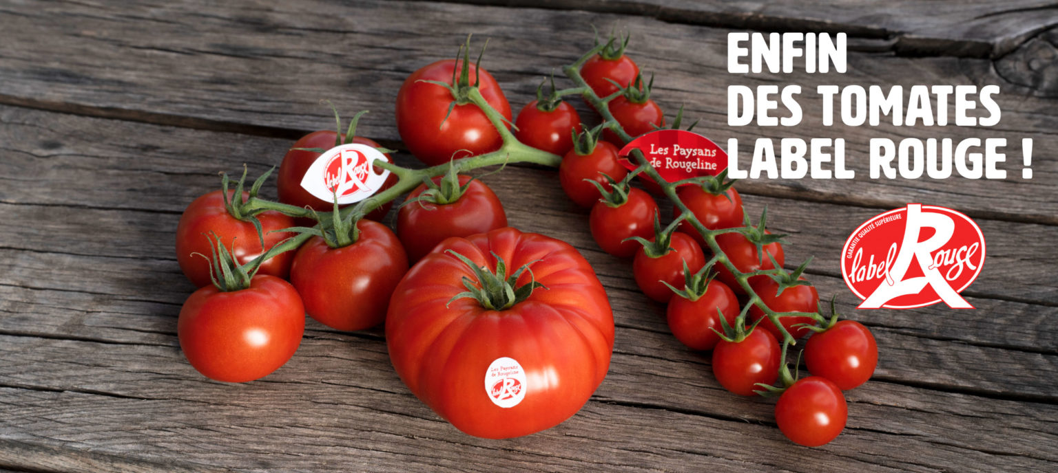 Rougeline, les Paysans du Sud de la France