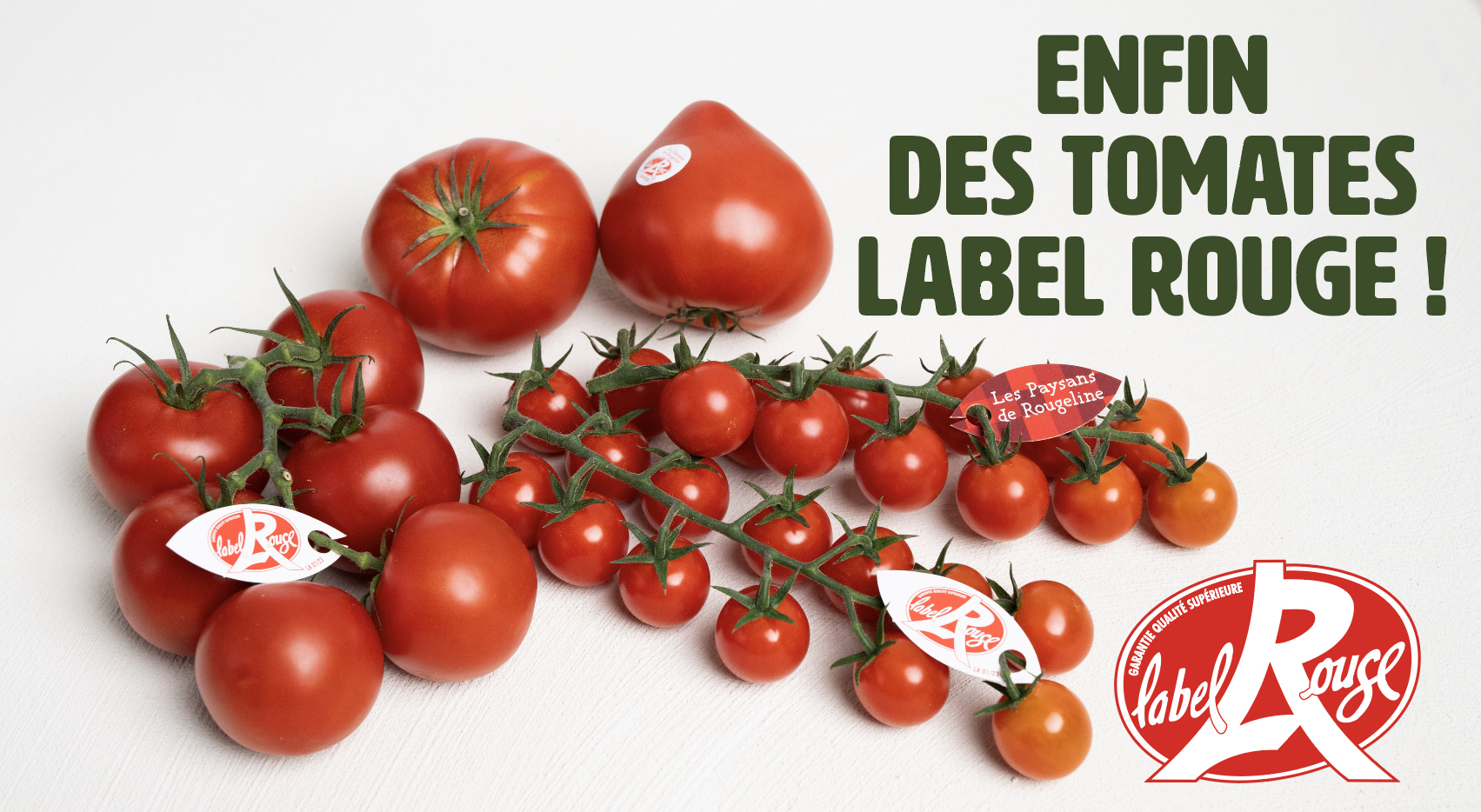 Les Paysans de Rougeline, les Paysans du Sud de la France